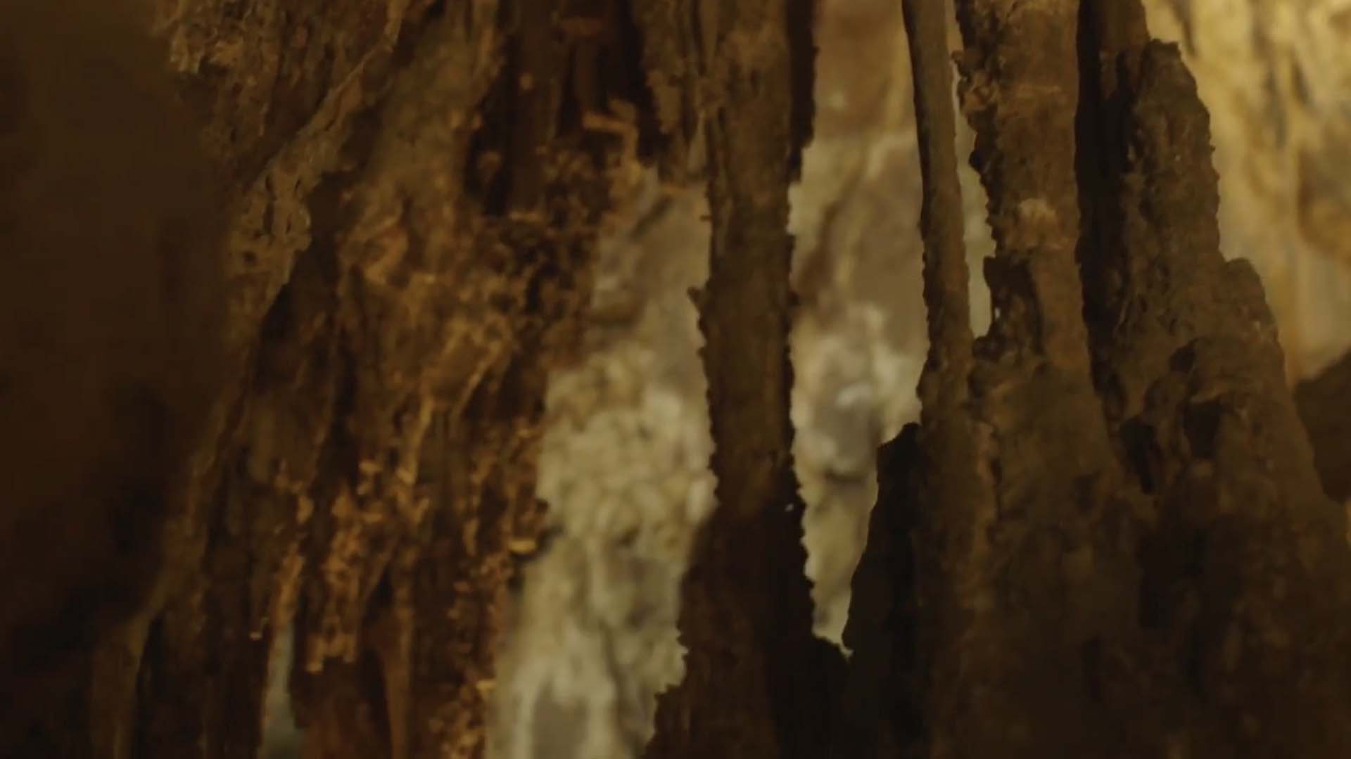 HOME - Colossal Cave Mountain Park