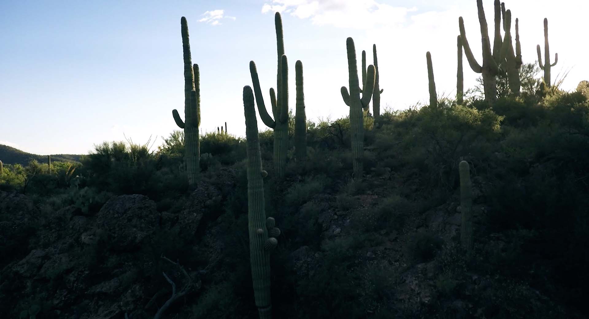 Mountain Park - Colossal Cave Mountain Park
